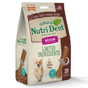 Nylabone Nutri Dent Dog Dental Chews - Natural Dog Teeth Cleaning & Breath Freshener - Dental Treats for Dogs - Filet Mignon Flavor, Medium (20 Count)