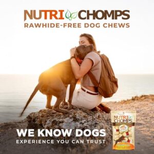 NutriChomps Dog Chews, 2.5-inch Knots, Easy to Digest, Long Lasting, Rawhide-Free Dog Treats, 8 Count, Real Chicken flavor