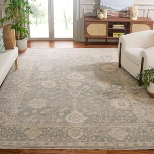 safavieh izmir collection area rug - 9' x 12', light blue & ivory, hand-knotted traditional new zealand wool, ideal for high traffic areas in living room, bedroom (izm134m)