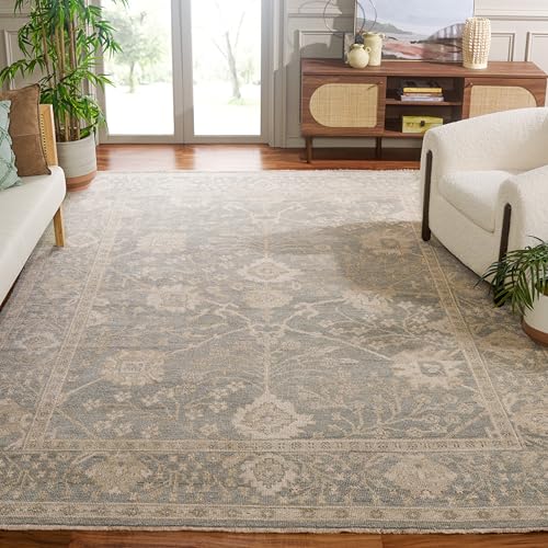 SAFAVIEH Izmir Collection Area Rug - 9' x 12', Light Blue & Ivory, Hand-Knotted Traditional New Zealand Wool, Ideal for High Traffic Areas in Living Room, Bedroom (IZM134M)