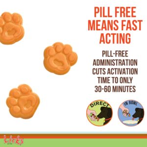 Licks Pill Free Dog Skin and Allergy Gummies - Omega 3 Dog Allergy Relief - Dog Vitamins & Supplements for Itch Relief - Turmeric Supplement for Dog Skin - Dog Vitamin Gummies - 90 Gummies