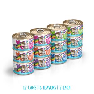 Weruva B.F.F. OMG - Best Feline Friend Oh My Gravy!, Variety Pack, Rainbow Road, Wet Cat Food by, 2.8oz Can (Pack of 12)