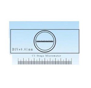 0.01mm Stage Micrometer Microscope Camera Calibration Slide White