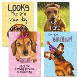 dachshund birthday greeting cards - set of 8 (2 of each design) 5" x 7" cards come with white envelopes