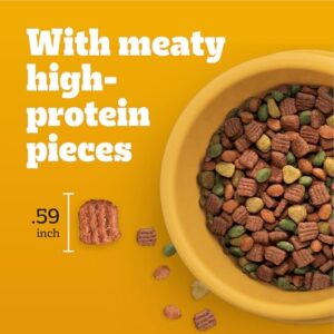 PEDIGREE High Protein Adult Dry Dog Food Beef and Lamb Flavor Dog Kibble, 3.5 lb. Bag