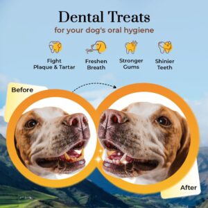 Dogsee Chew Dog Dental Chews | Long Lasting Dog Chews for Large Dogs | Yak Cheese Flavored Himalayan Dog Chew That Will Lower The Chances of Plaque and Tartar Growth | 1 Bar