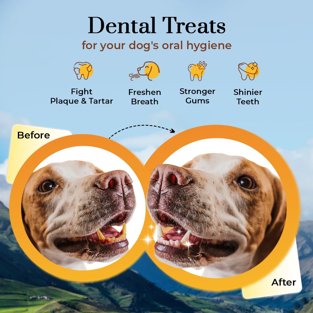 Dogsee Chew Dog Dental Chews | Long Lasting Dog Chews for Large Dogs | Yak Cheese Flavored Himalayan Dog Chew That Will Lower The Chances of Plaque and Tartar Growth | 1 Bar