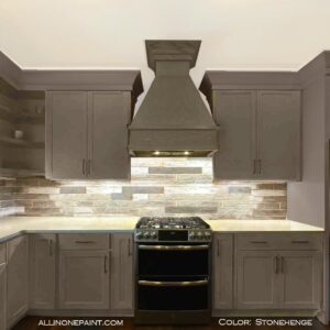 ALL-IN-ONE Paint, Durable cabinet and furniture paint. Built in primer and top coat, no sanding needed. Includes our 30 featured color card - Stonehenge, Quart