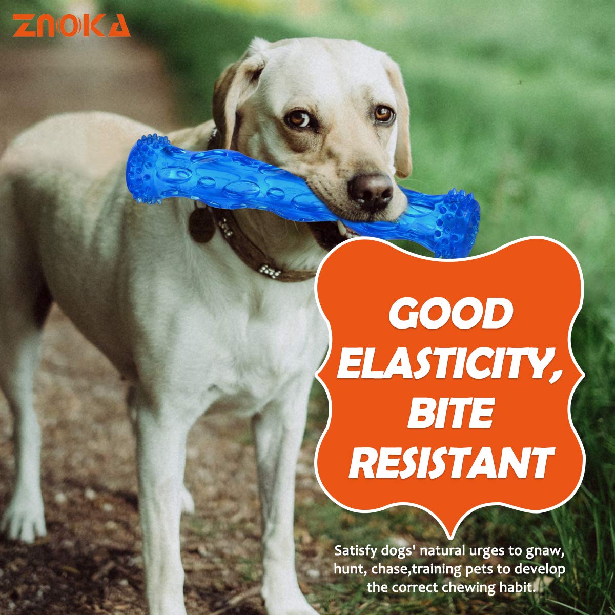 ZNOKA TPR Squeak Dog Chew Bone Toy, Bite Resistant Durable Tough Rubber Non-Toxic Tooth Cleaning Toy for Aggressive Chewer, Floating & Suitable for Pool Use