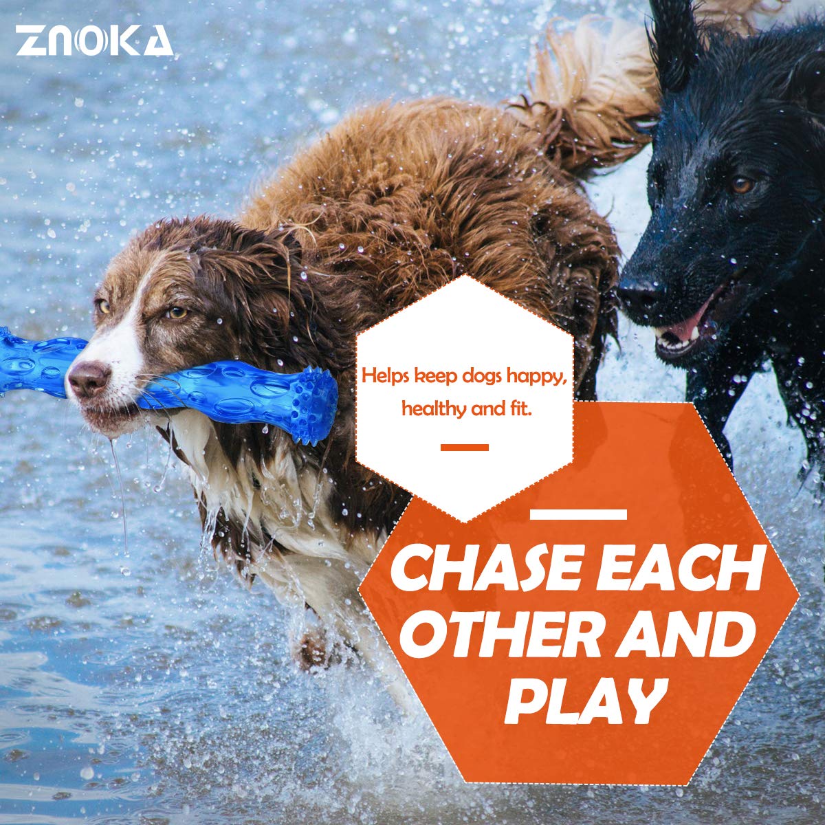 ZNOKA TPR Squeak Dog Chew Bone Toy, Bite Resistant Durable Tough Rubber Non-Toxic Tooth Cleaning Toy for Aggressive Chewer, Floating & Suitable for Pool Use