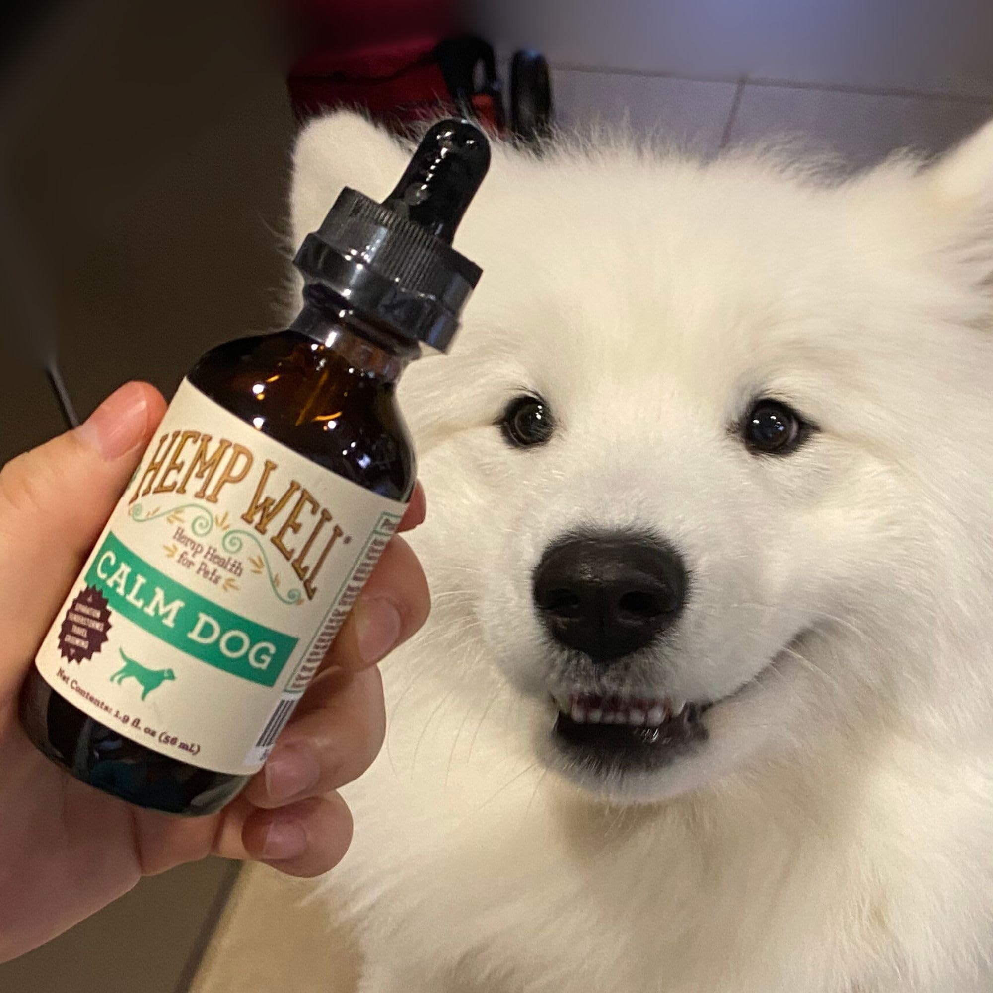 Hemp Well Calm Dog Oil Relieves Anxiety, Calms and Relaxes Your Dog, Aids in Stress Relief and Behavioral Issues, Organically Sourced (2 Ounces) - Dog Melatonin and Hemp for Small and Large Dogs