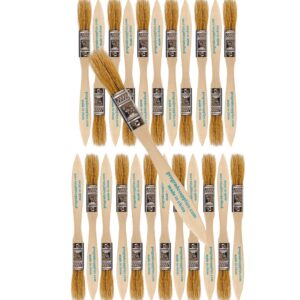 pro grade - chip paint brushes - 24 ea 1/2 inch chip paint brush light brown