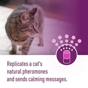 Comfort Zone Basic Calming Diffuser Kit for Cat Calming