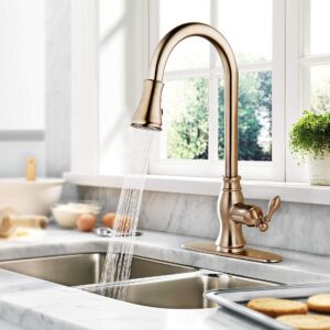 Derengge FK-258-CS Single Handle Pull Down Kitchen Faucet with Deck Plate,Meets UPC cUPC NSF61-9 Certification,French Brushed Bronze Finished