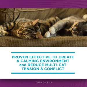 Comfort Zone Basic Multicat Refill for Cat Calming, 6 Pack