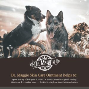 Dr. Maggie Skin Care Ointment for Dogs and Cats | First Aid for Hotspots, Scratches, and Wounds | 30g/1 oz