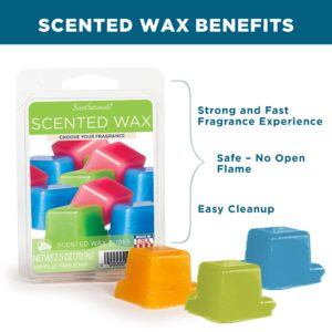 Scentsationals Wax Melts, Wax Cubes Strong Scent - Magic Spell - Long Lasting Scented Wax Melts for Warmer, 2.5 oz (6 Cubes)