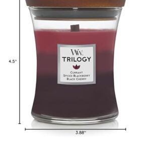 WoodWick Medium Hourglass Candle, Sun Ripened Burrs - Premium Soy Blend Wax, Pluswick Innovation Wood Wick, Made in USA