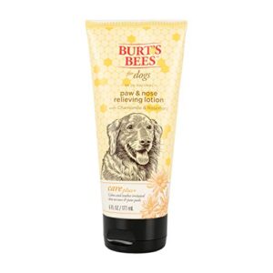 burt's bees for pets care plus+ naturally derived hydrating dog grooming paw & nose lotion- dog paw & nose lotion for relieving rough paw pads and noses - made in the usa, 6 oz