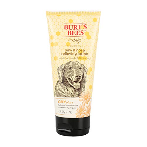 Burt's Bees for Pets Care Plus+ Naturally Derived Hydrating Dog Grooming Paw & Nose Lotion- Dog Paw & Nose Lotion for Relieving Rough Paw Pads and Noses - Made in the USA, 6 Oz