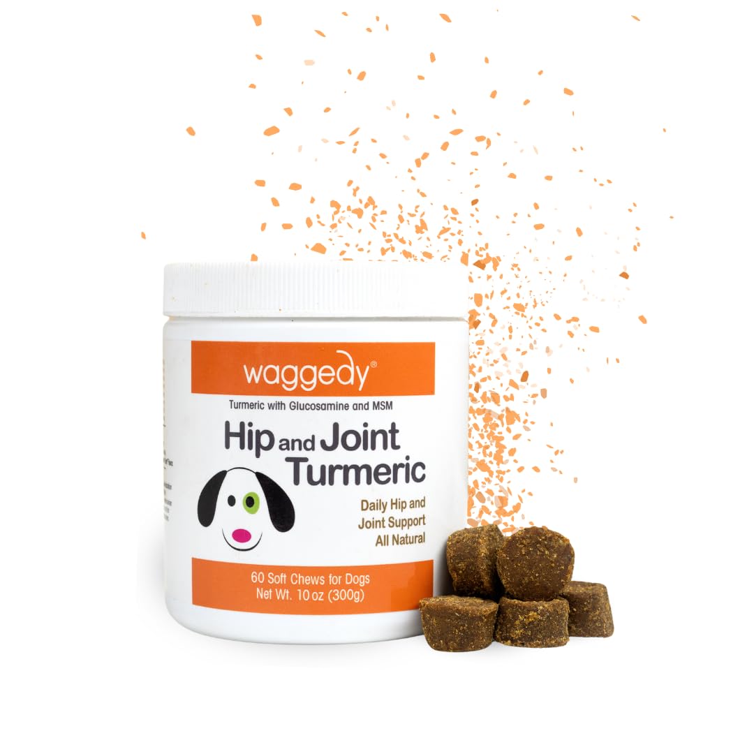 waggedy Hip and Joint Turmeric - Dog Supplements for Joints with Glucosamine & MSM — All-Natural Daily Glucosamine for Dogs to Improve Flexibility & Mobility (2 Packs of 60 Dog Chews Each)