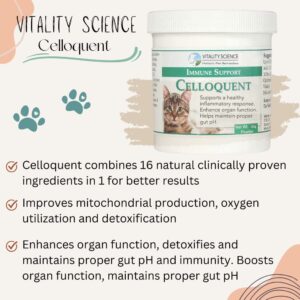 Vitality Science Celloquent for Cats | Enhanced Immune Support Formula | Maintains Proper Gut pH | Boosts Organ Function | Aids Detoxification and Healthy Inflammatory Response (120g)