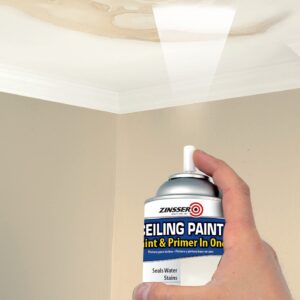 Zinsser Ceiling Acrylic Paint & Primer in One, 13 oz, Flat White