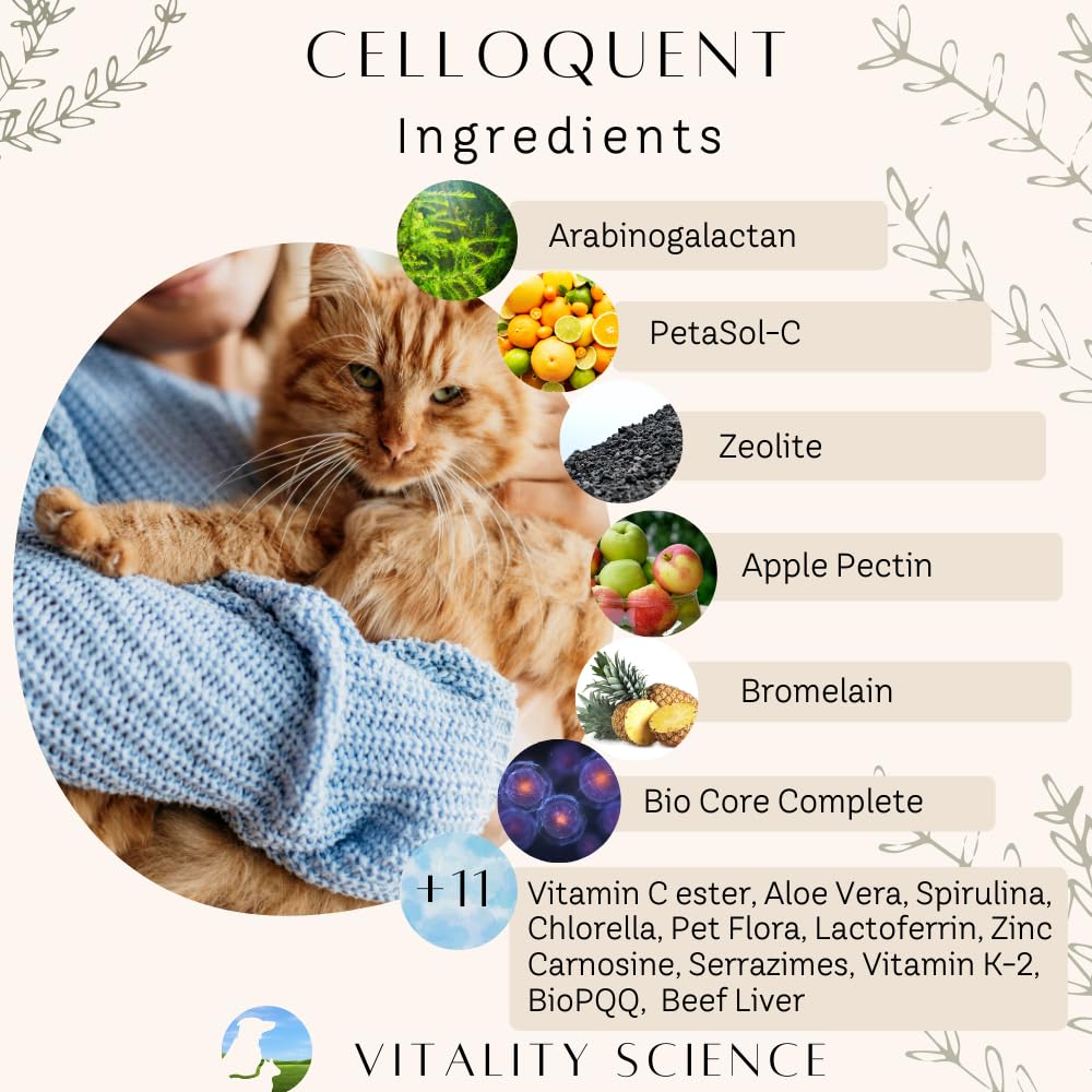 Vitality Science Celloquent for Cats | Enhanced Immune Support Formula | Maintains Proper Gut pH | Boosts Organ Function | Aids Detoxification and Healthy Inflammatory Response (120g)