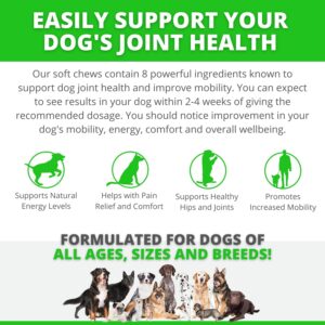 WOOFthful Dog Glucosamine Chondroitin for Dogs with Organic Turmeric and MSM - Premium Joint Supplement for Dogs - Supports Pain Relief, Mobility and Joint Function - Made in USA