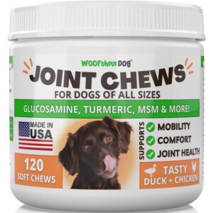 woofthful dog glucosamine chondroitin for dogs with organic turmeric and msm - premium joint supplement for dogs - supports pain relief, mobility and joint function - made in usa