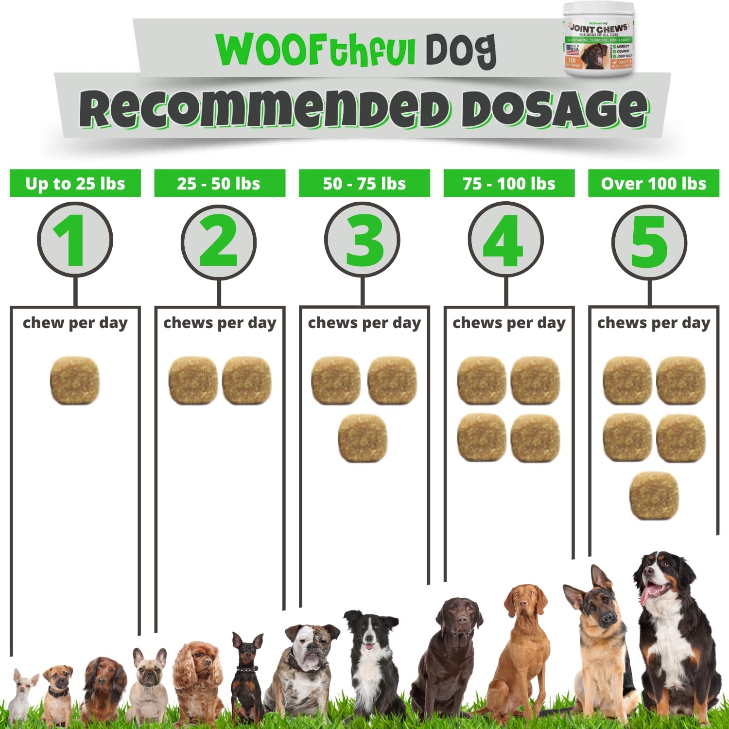 WOOFthful Dog Glucosamine Chondroitin for Dogs with Organic Turmeric and MSM - Premium Joint Supplement for Dogs - Supports Pain Relief, Mobility and Joint Function - Made in USA