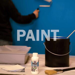 Paint-Guard Mold and Mildew Defense Paint Additive (1 Gallon Treatment)