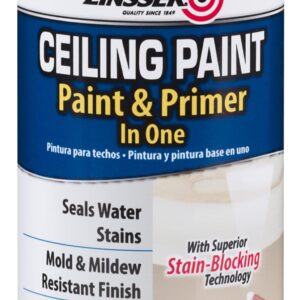 Zinsser Ceiling Acrylic Paint & Primer in One, 13 oz, Flat White