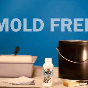 Paint-Guard Mold and Mildew Defense Paint Additive (1 Gallon Treatment)