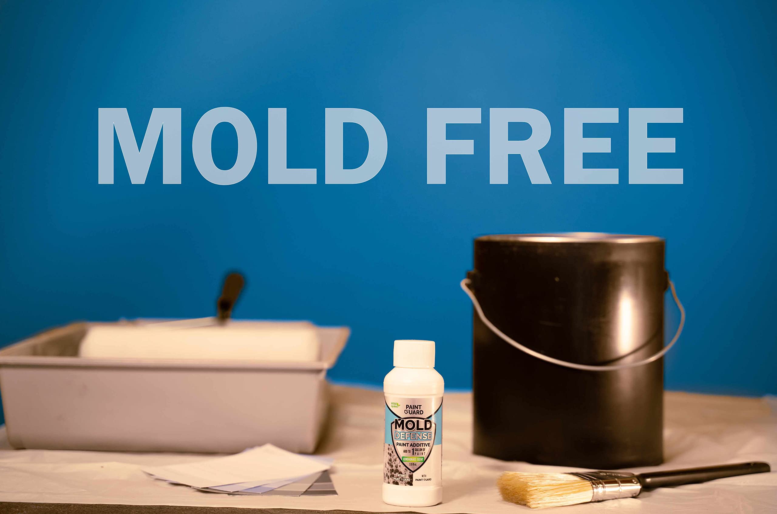 Paint-Guard Mold and Mildew Defense Paint Additive (1 Gallon Treatment)