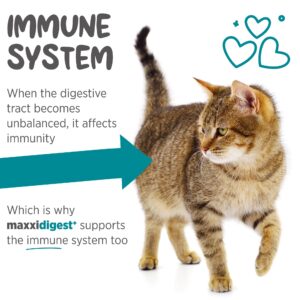 maxxipaws maxxidigest+ Probiotic & Prebiotic Powder Supplement - Digestive & Immune Support for Cats, 7oz