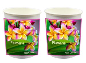 plumeria vase candle - smells like plumeria flowers. (jar)