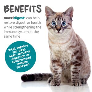 maxxipaws maxxidigest+ Probiotic & Prebiotic Powder Supplement - Digestive & Immune Support for Cats, 7oz