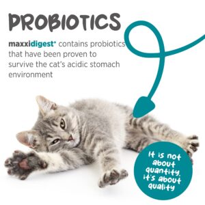 maxxipaws maxxidigest+ Probiotic & Prebiotic Powder Supplement - Digestive & Immune Support for Cats, 7oz