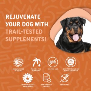 waggedy Hip and Joint Turmeric - Dog Supplements for Joints with Glucosamine & MSM — All-Natural Daily Glucosamine for Dogs to Improve Flexibility & Mobility (2 Packs of 60 Dog Chews Each)