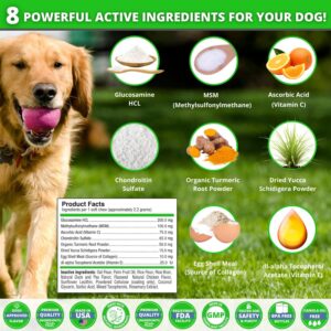 WOOFthful Dog Glucosamine Chondroitin for Dogs with Organic Turmeric and MSM - Premium Joint Supplement for Dogs - Supports Pain Relief, Mobility and Joint Function - Made in USA