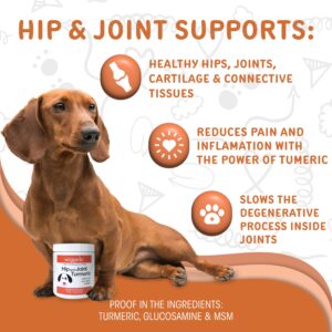 waggedy Hip and Joint Turmeric - Dog Supplements for Joints with Glucosamine & MSM — All-Natural Daily Glucosamine for Dogs to Improve Flexibility & Mobility (2 Packs of 60 Dog Chews Each)