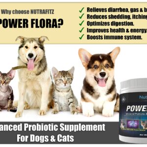 Power Flora - Probiotics for Dogs and Cats with 9 Live Strains - Dog Probiotics Improves Dog Breath, UTI, Diarrhea, Constipation, Skin Allergy, Hot Spots - Odorless Powder - 350 Billion CFU/jar