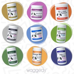 waggedy Hip and Joint Turmeric - Dog Supplements for Joints with Glucosamine & MSM — All-Natural Daily Glucosamine for Dogs to Improve Flexibility & Mobility (2 Packs of 60 Dog Chews Each)