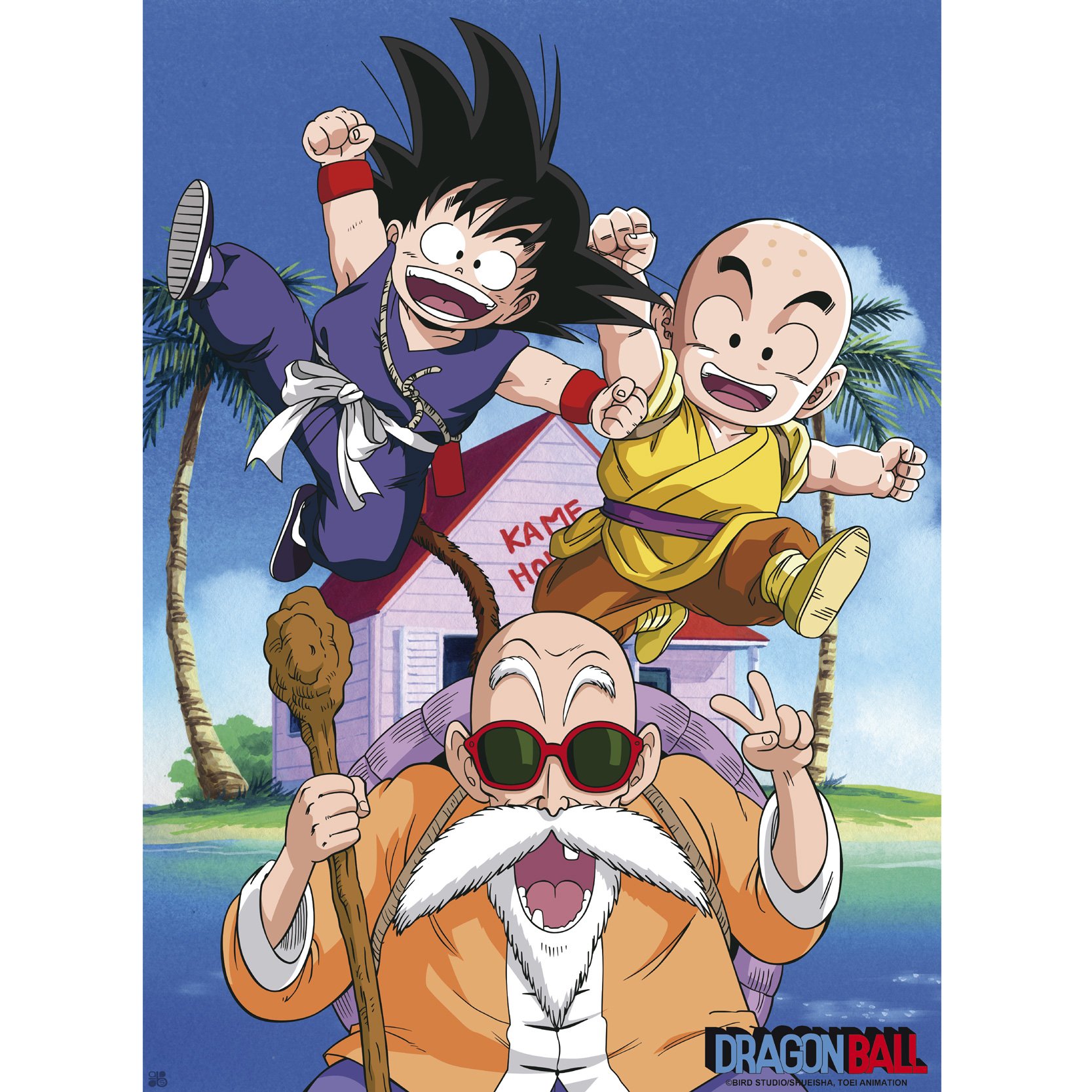 ABYstyle - Dragon Ball - Kame Team Poster (52x38)