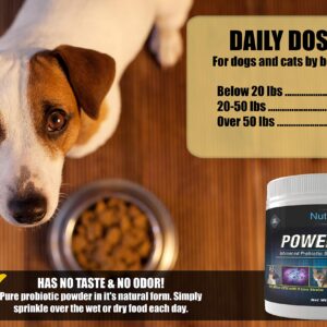 Power Flora - Probiotics for Dogs and Cats with 9 Live Strains - Dog Probiotics Improves Dog Breath, UTI, Diarrhea, Constipation, Skin Allergy, Hot Spots - Odorless Powder - 350 Billion CFU/jar