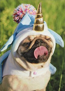 avanti unicorn pug funny birthday card