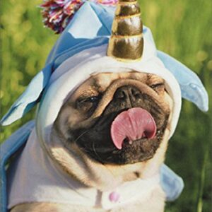 Avanti Unicorn Pug Funny Birthday Card