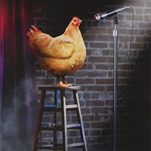 Avanti Stage Chicken Funny Birthday Card