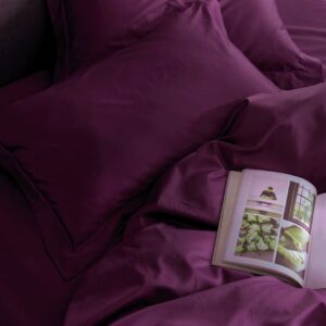 Solid Color Egyptian Cotton Duvet Cover Luxury Bedding Set High Thread Count Long Staple Sateen Weave Silky Soft Breathable Pima Quality Bed Linen (Queen, Deep Plum)